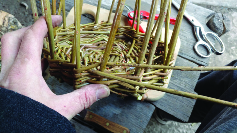 How to Weave a Basket for Beginners – Mother Earth News